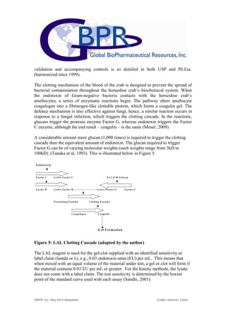 Pyrogen article | PDF