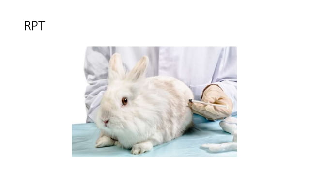 Pyrogenicity and methods . | PPTX | Infectious Diseases | Diseases and ...