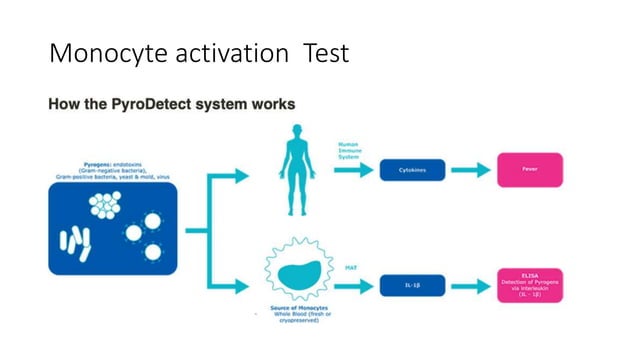 Pyrogenicity and methods . | PPTX | Infectious Diseases | Diseases and ...