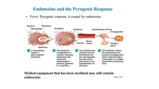 Pyrogenicity and methods . | PPTX