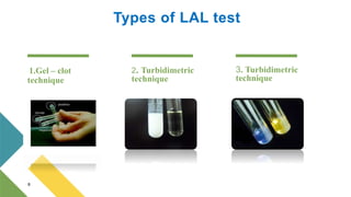 Pyrogen teat(lal test) | PPTX
