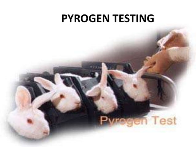 Pyrogen testing as per IP, BP & USP | PPTX