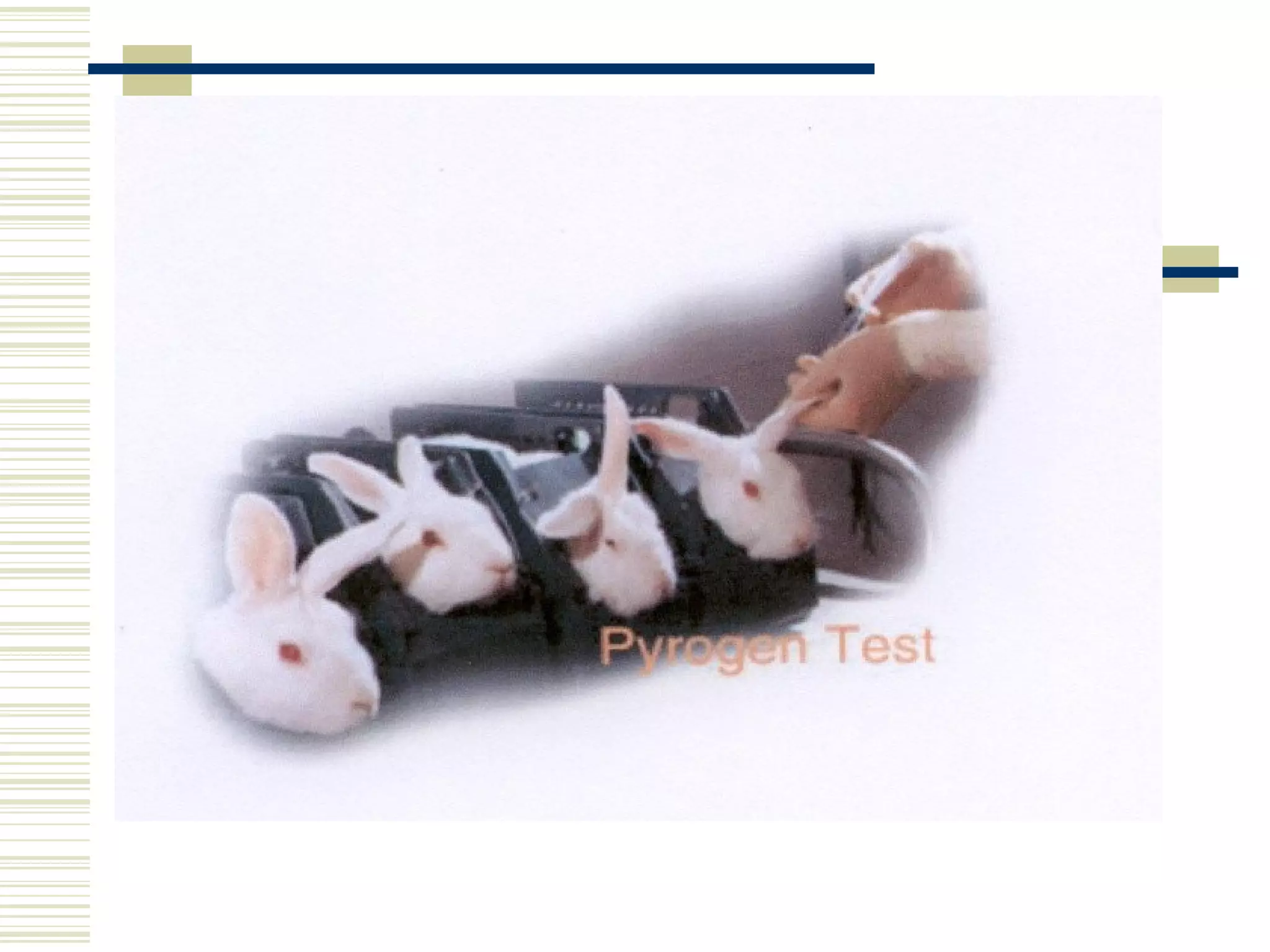 Pyrogen testing