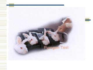 Pyrogen testing | PPT