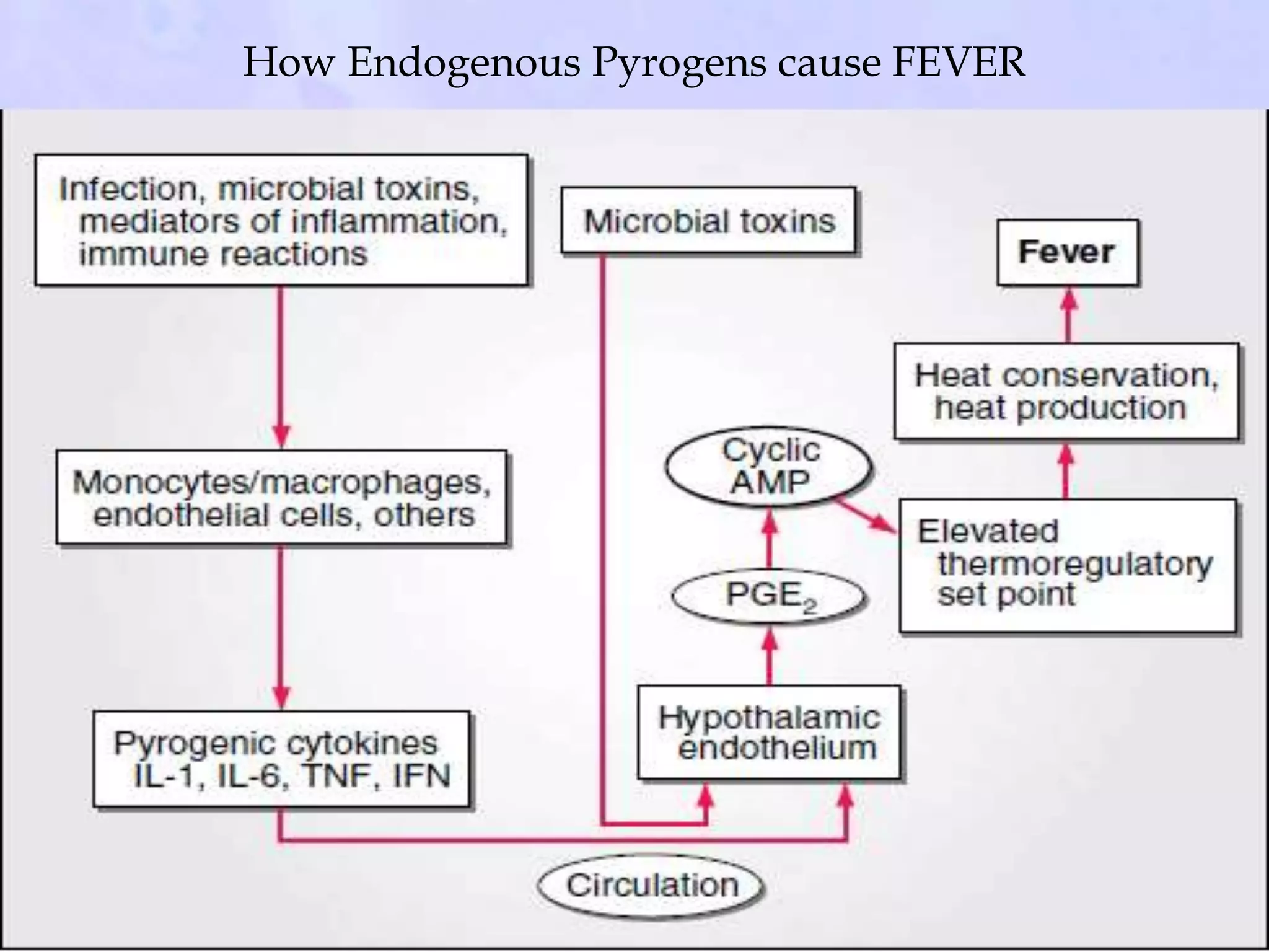 Pyrogen test parth | PPTX