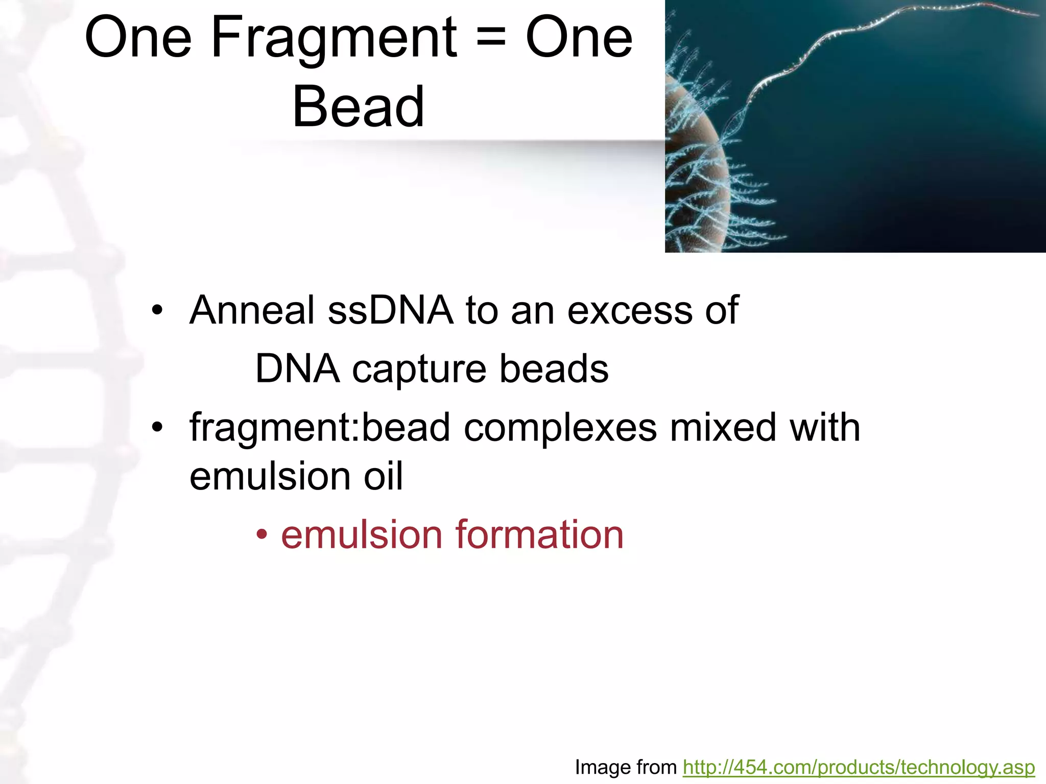 Pyrosequencing 454 | PPTX