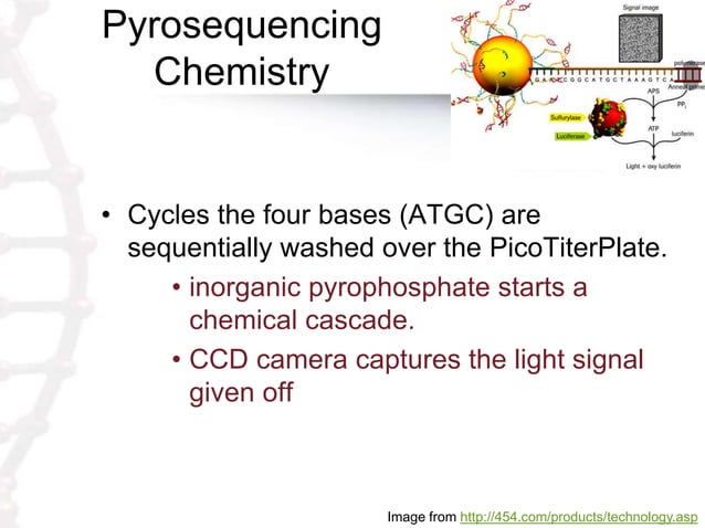 Pyrosequencing 454 | PPTX