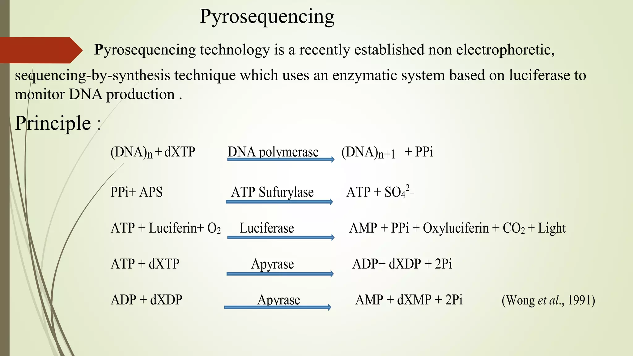 Pyrosequencing | PPTX
