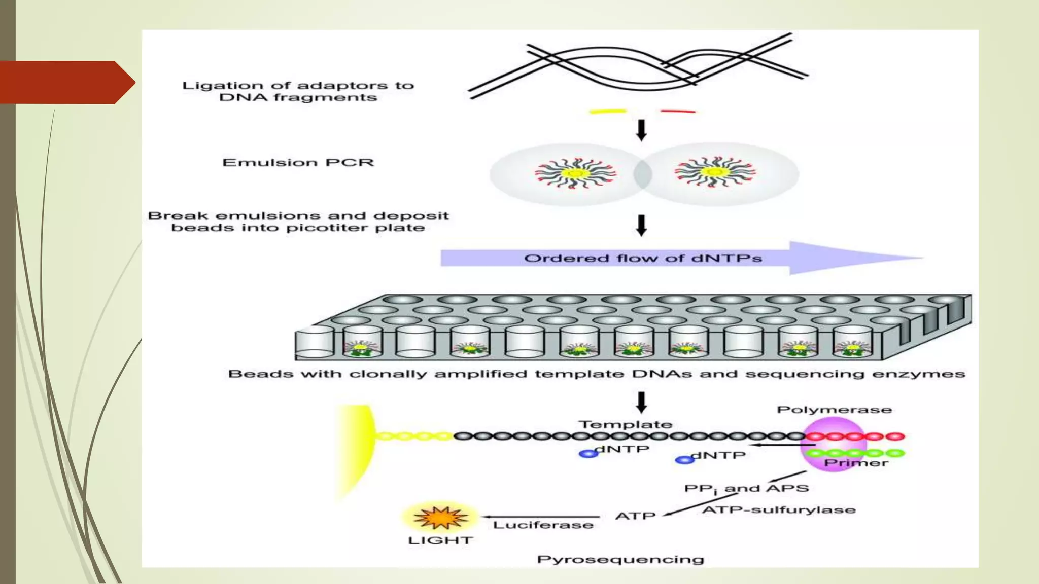 Pyrosequencing | PPTX