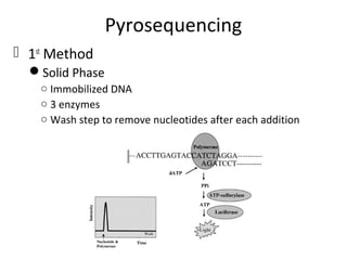 Pyrosequencing | PPT