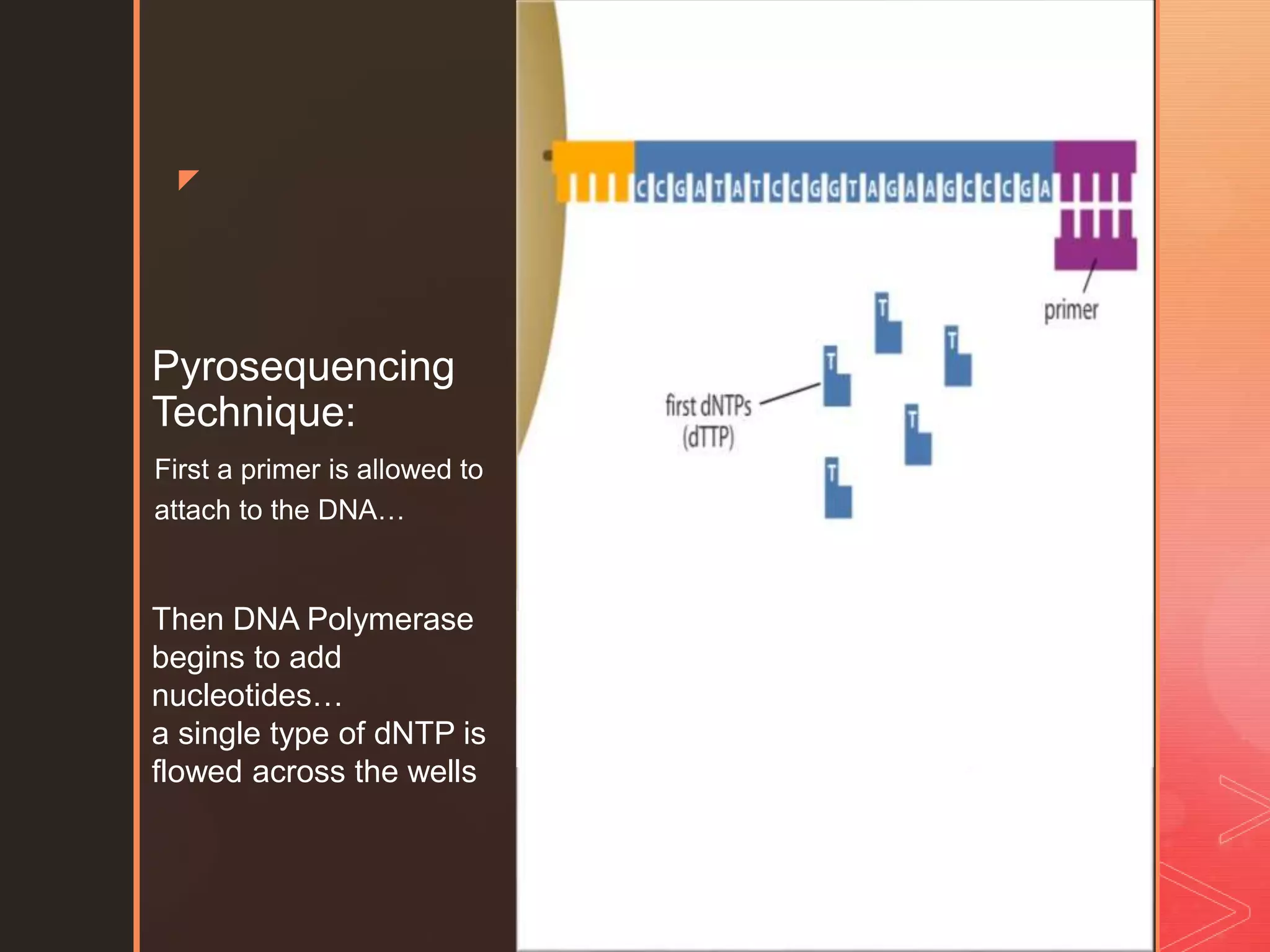 Pyrosequencing | PPTX | Chemistry | Science
