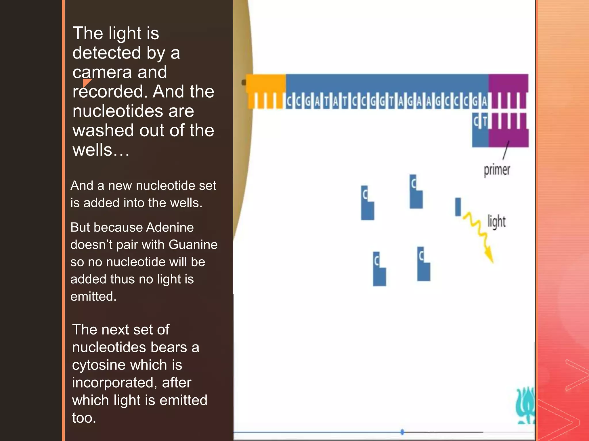 Pyrosequencing | PPTX