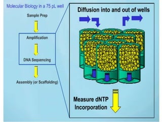 Pyrosequencing | PPTX