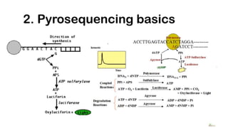 Pyrosequencing | PPTX