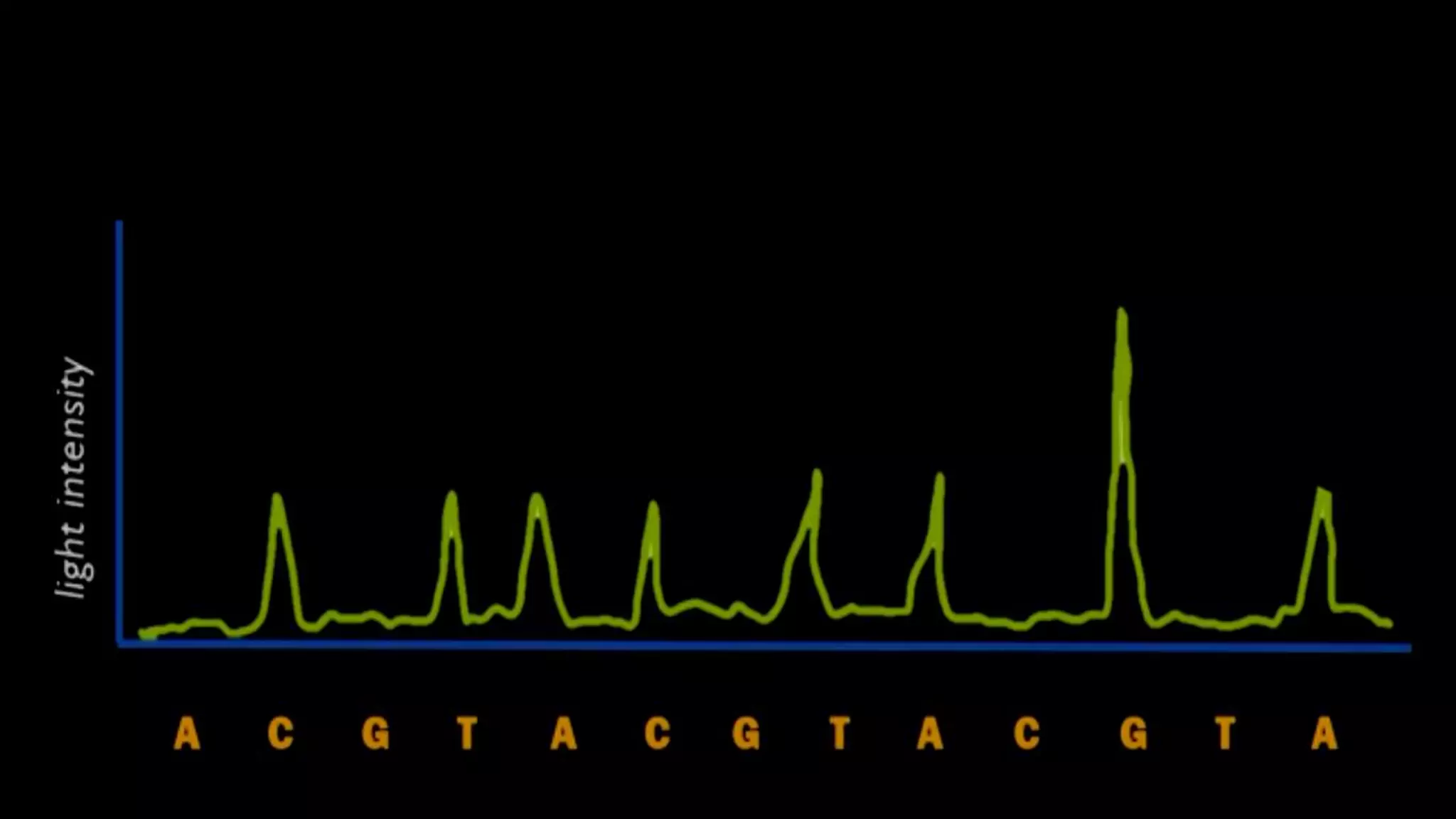 pyrosequencing.pptx | Chemistry | Science