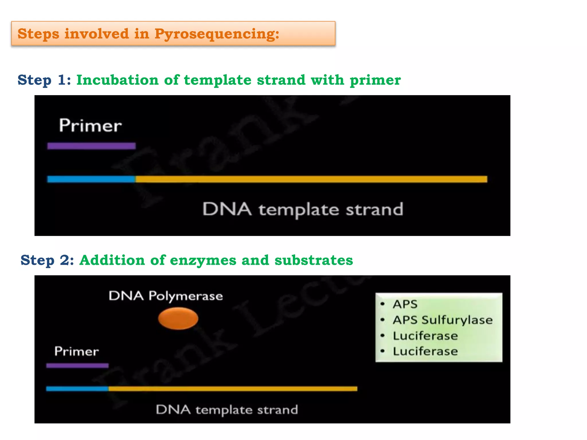 PyroSequencing.pptx | Chemistry | Science