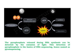 PyroSequencing.pptx | Chemistry | Science