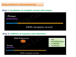 PyroSequencing.pptx | Chemistry | Science