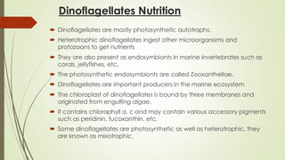 Presentation on the topic pyrrophyta.... | PDF