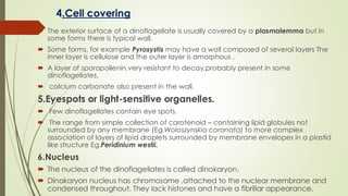 Presentation on the topic pyrrophyta.... | PDF