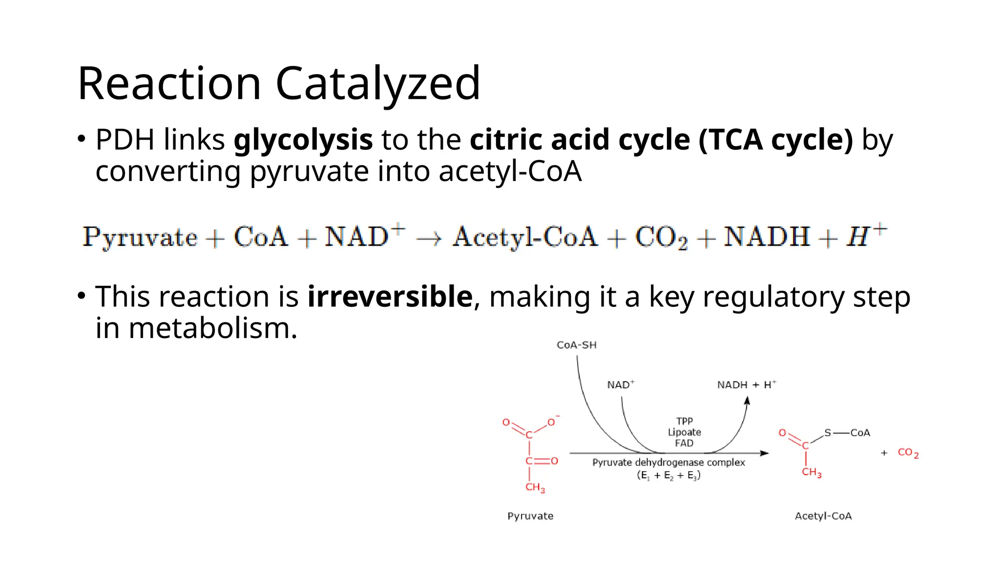 Pyruvate dehydrogenase PDH.pptx enzyme presentation | PPTX