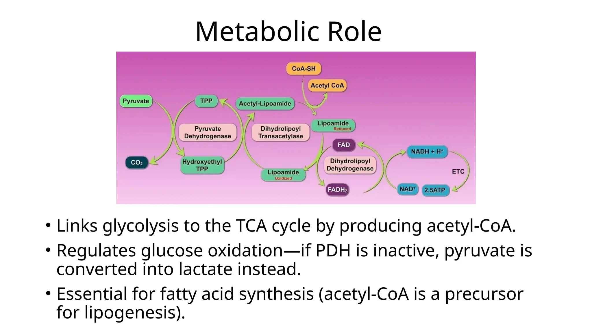 Pyruvate dehydrogenase PDH.pptx enzyme presentation | PPTX