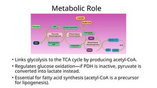 Pyruvate dehydrogenase PDH.pptx enzyme presentation | PPTX