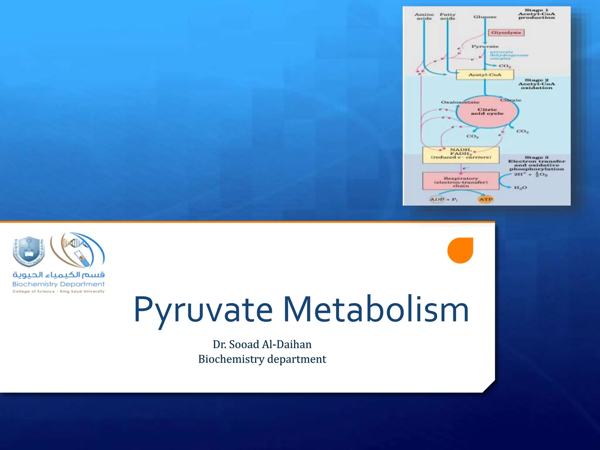 pyruvate_metabolism1_kmlkmfksclslald.ppt