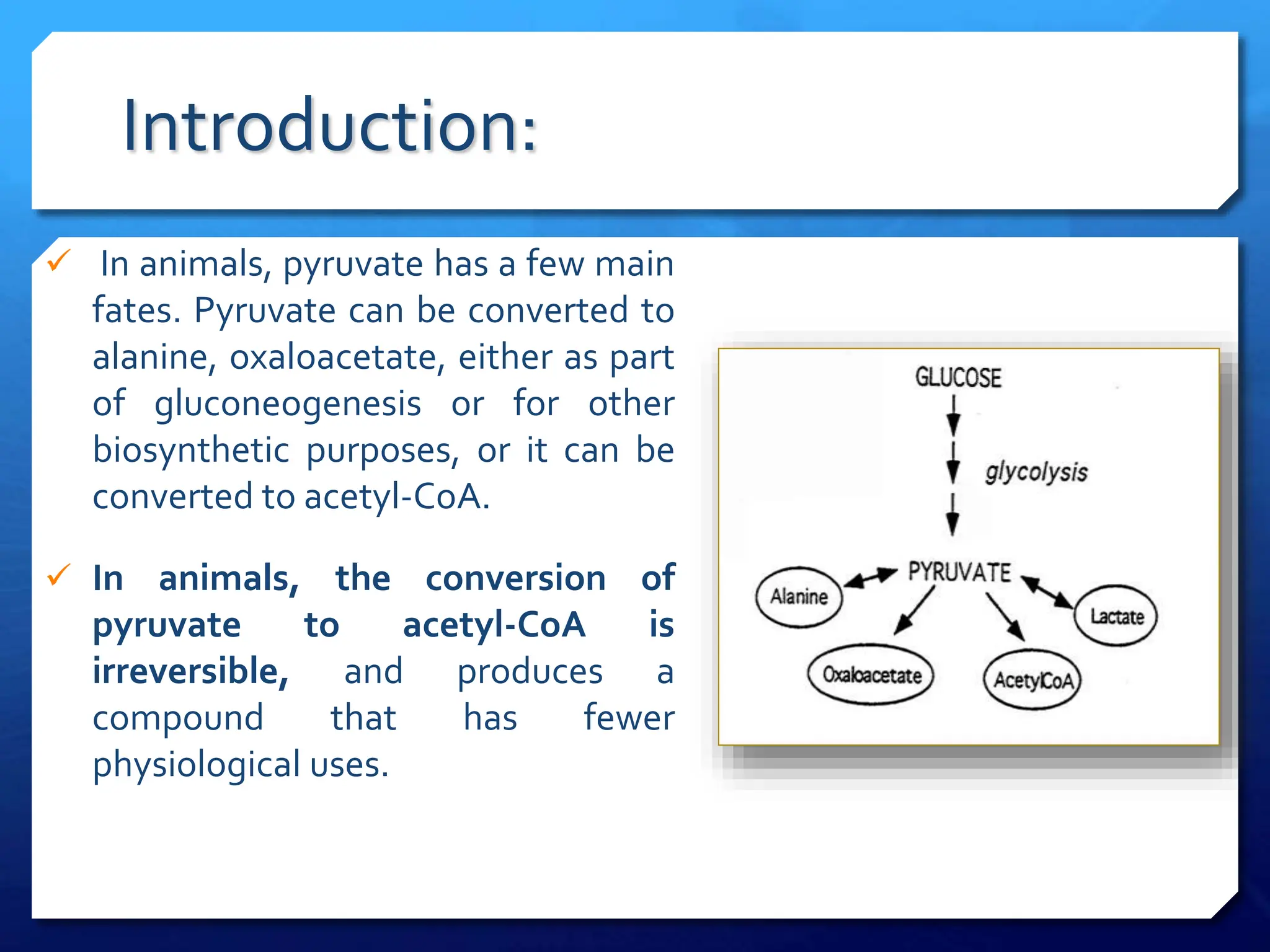 pyruvate_metabolism1_kmlkmfksclslald.ppt