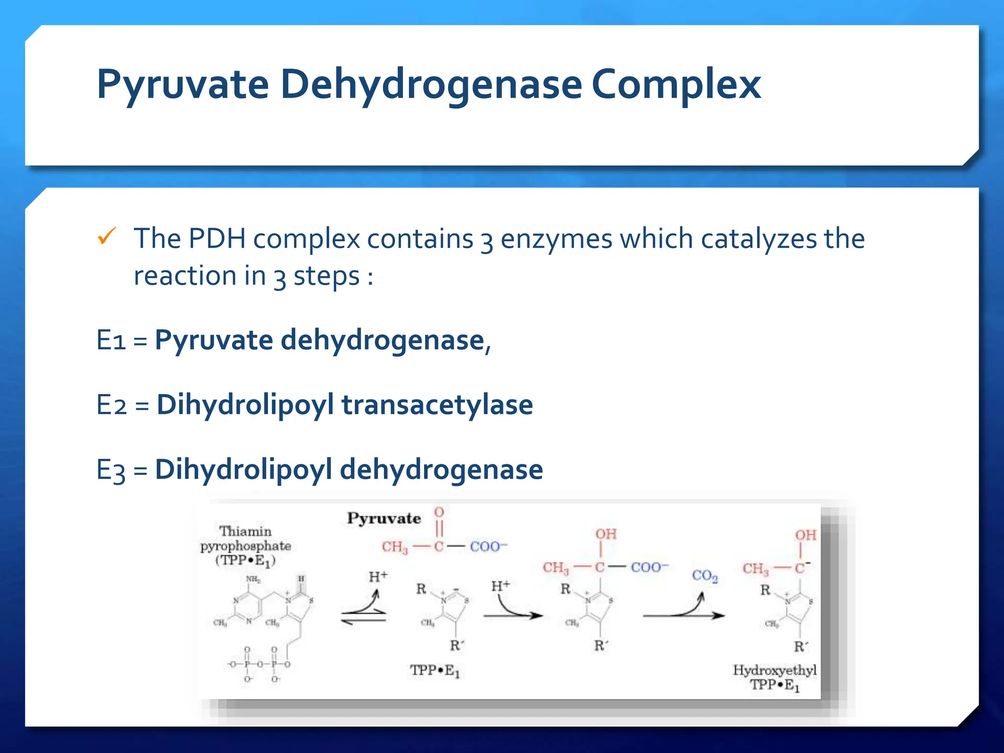 pyruvate_metabolism1_kmlkmfksclslald.ppt