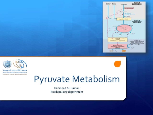 pyruvate_metabolism1_kmlkmfksclslald.ppt | Chemistry | Science