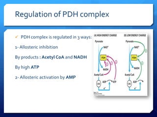 pyruvate_metabolism1_kmlkmfksclslald.ppt