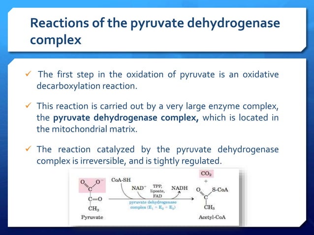 pyruvate_metabolism1_kmlkmfksclslald.ppt | Chemistry | Science