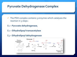 pyruvate_metabolism1_kmlkmfksclslald.ppt