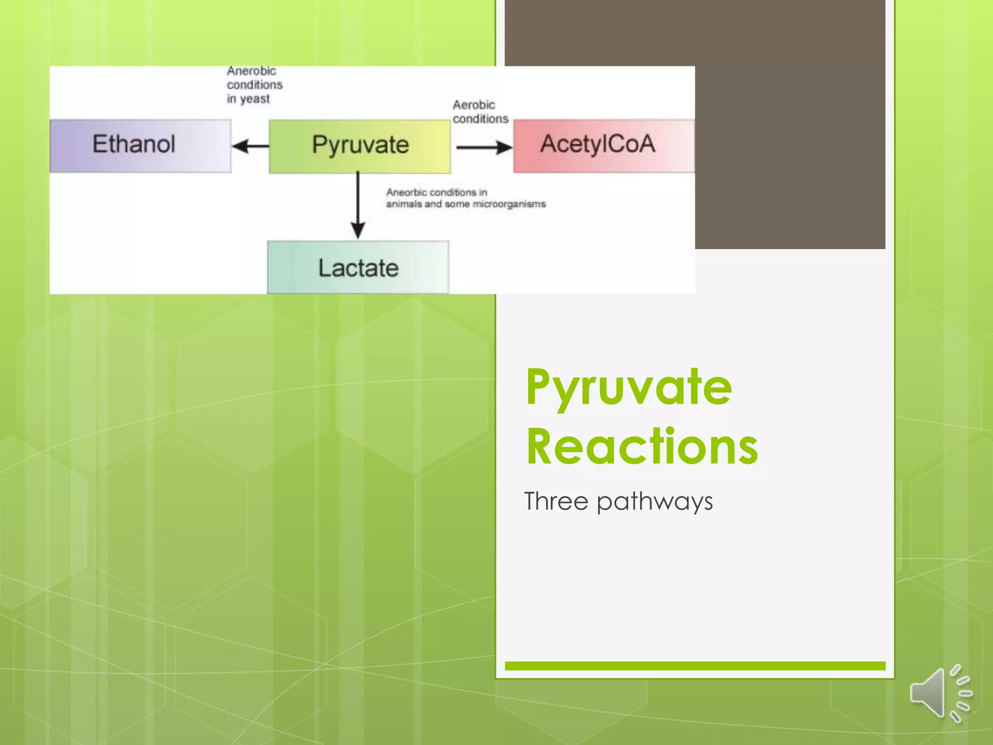 Pyruvate Reactions | PPTX