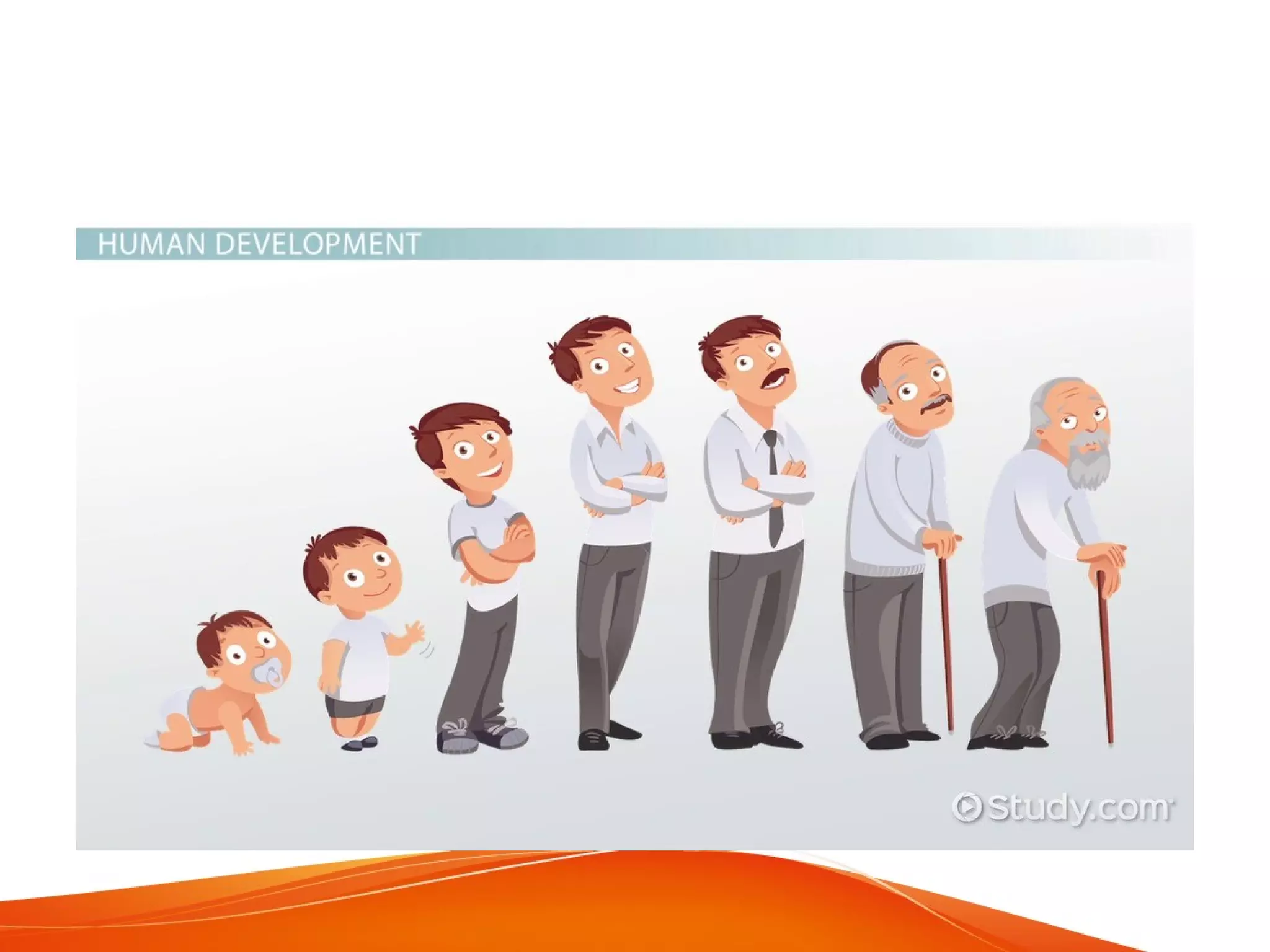 Physical development | PPT