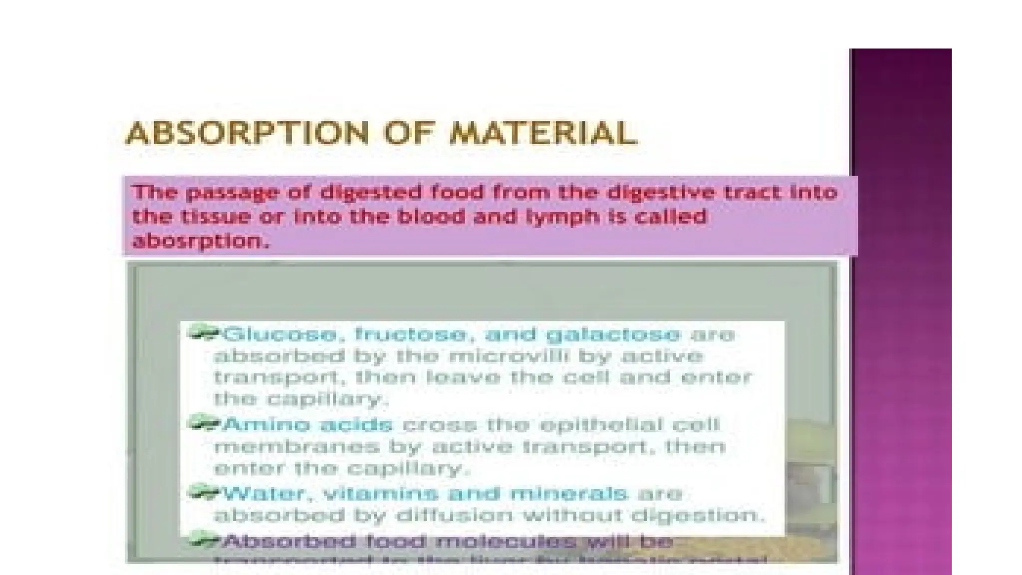PHYSIOLOGY OF DIGESTIVE SYSTEM.power point presentation | PPTX
