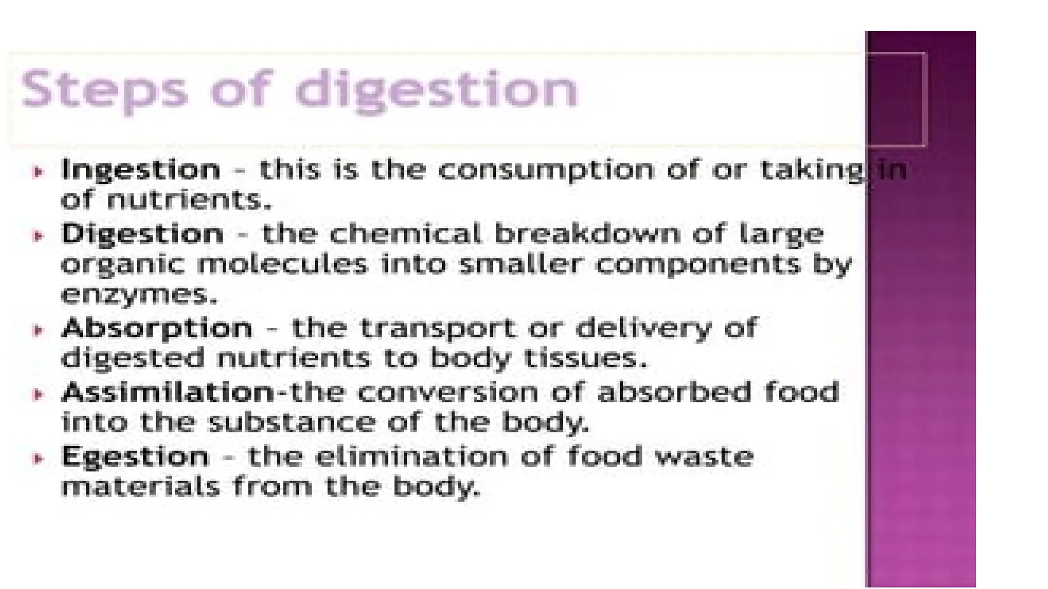 PHYSIOLOGY OF DIGESTIVE SYSTEM.power point presentation | PPTX
