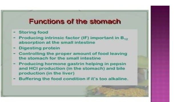 PHYSIOLOGY OF DIGESTIVE SYSTEM.power point presentation | PPTX