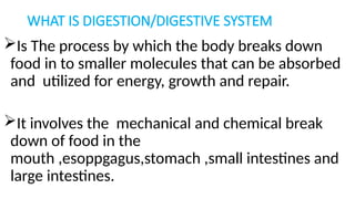 PHYSIOLOGY OF DIGESTIVE SYSTEM.power point presentation | PPTX