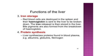 PHYSIOLOGY OF DIGESTIVE SYSTEM.power point presentation | PPT