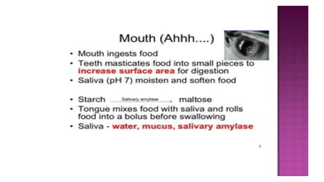 PHYSIOLOGY OF DIGESTIVE SYSTEM.power point presentation | PPTX
