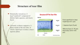 Pysiology of tear film_Vincent (1).pptx