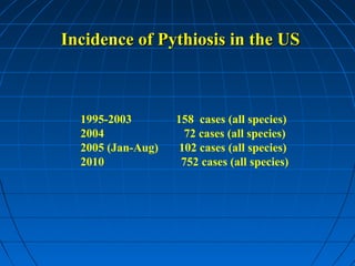 Pythiosis General | PPT