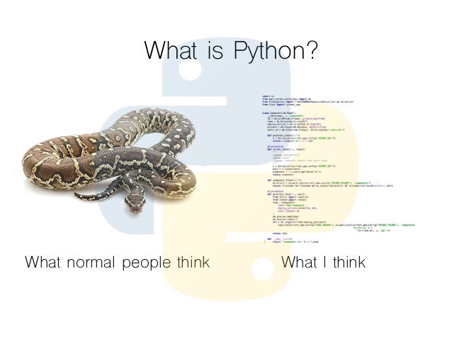 Python in 90 minutes