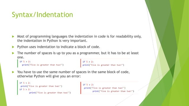 Understanding Python Ppt