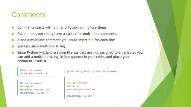 Understanding Python Ppt