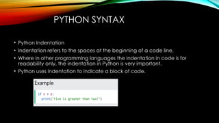 Python programming in simple terms..pptx