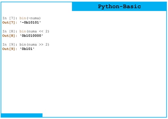 Python basic - v01 | PDF