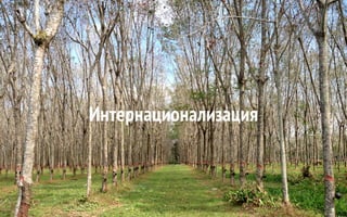 Python i18n | PDF | Web Development | Internet